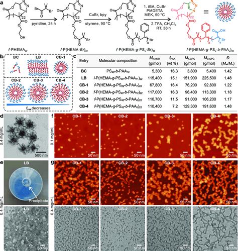 Hierarchical Self Assembly Of Cyclic Brush Polymers A Scheme For The Download Scientific