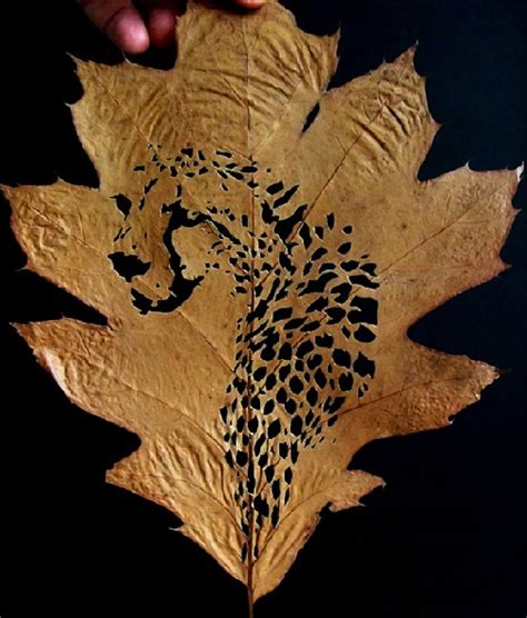 Leaf Cutting Art By Iranian Artist Omid Asadi 2 Art Kaleidoscope
