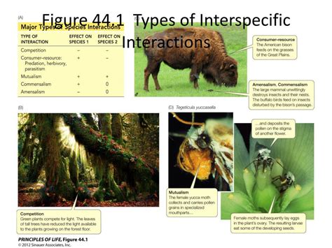 Ppt Ecological And Evolutionary Consequences Of Species Interactions Powerpoint Presentation