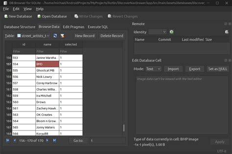 Regular Text Interpreted As Bitmap · Issue 3217 · Sqlitebrowser