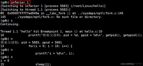 基于linux下的高并发服务器开发（第二章） 2 5 父子进程关系及gdb多进程调试 linux 调试子进程 csdn博客