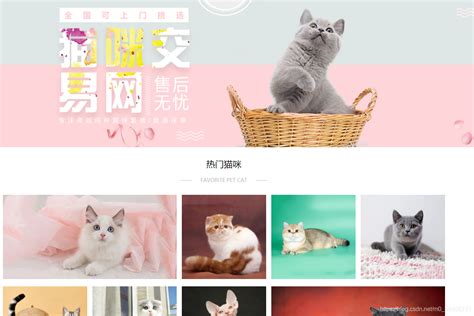 python爬虫 数据可视化教学：分析猫咪交易数据 猫咪交易数据ppt分析 csdn博客