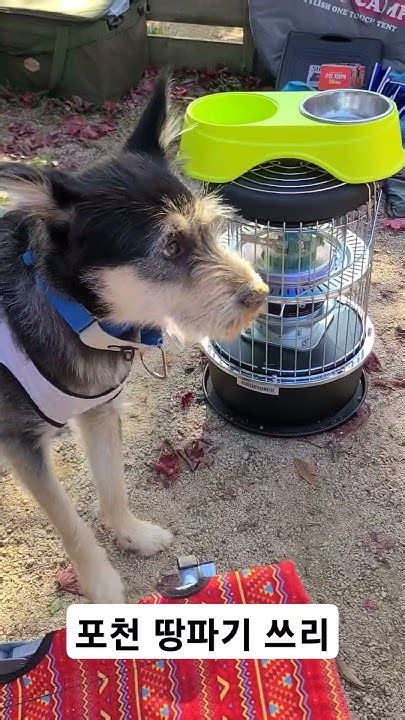 포천 땅파기 쓰리 Youtube