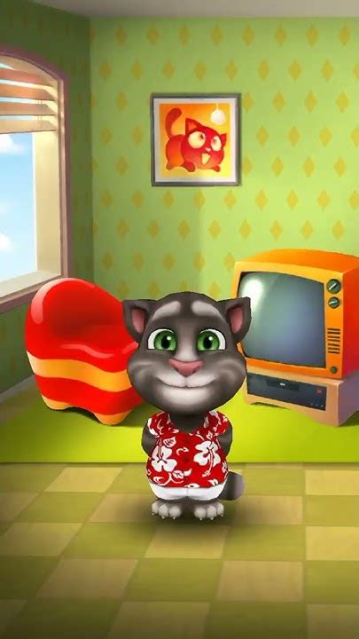 My Talking Tom Gameplay Video Youtube