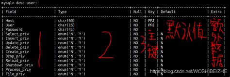 关于myspl数据库安装及基本用法 csdn博客