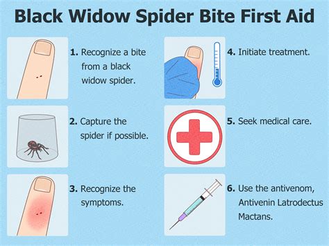 Spider Bites Venomous Spider Bites The Clinical Advisor