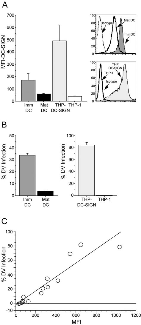 Cytofluorometry Of Dv Infection Of Dc Signexpressing Cells A The