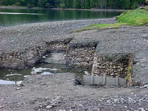 2004 Northern Area Of Wet Site Showing Density Of The Shell Midden And