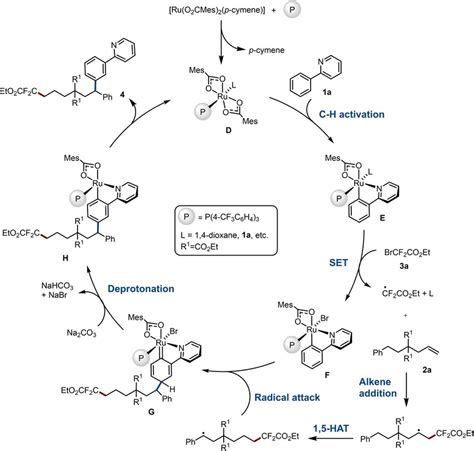 Proposed Catalytic Cycle Download Scientific Diagram