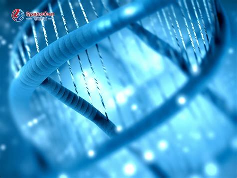 The Things Between Thyroid Cancer And The Tert Gene