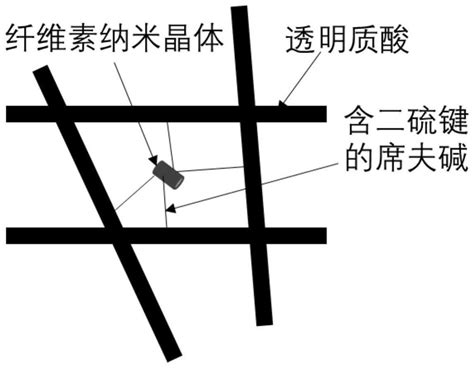 Cellulose Nanocrystal Enhanced Efficient Self Healing Hydrogel And Preparation Method Thereof