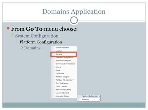 Domains In Ibm Maximo Asset Management Ppt