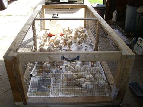 96 Best Images About Brooder Box Ideas On Pinterest Quails Chicken And Backyard Chickens