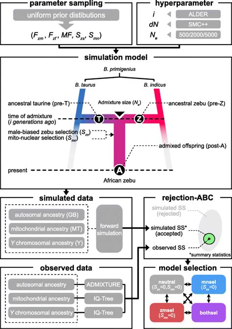 Scheme Of The Approximated Bayesian Computation The Diagram Describes