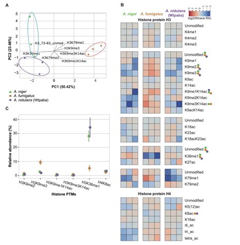 quantification of histone ptms in three aspergillus species a