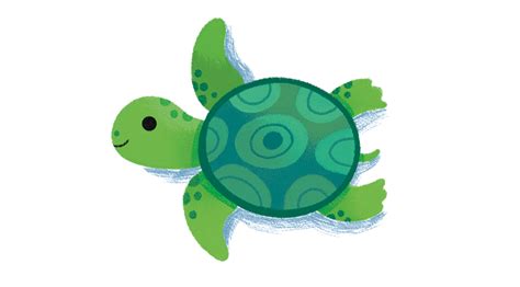 Sea Turtle Nest Usborne Be Curious