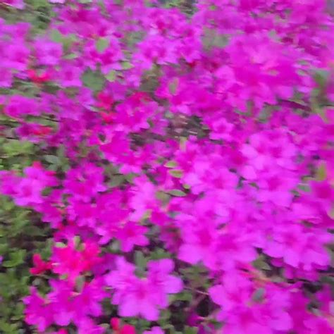 😱💕~와우~대박~대박~대박~한주마감~꽃길만걸으세요~왕대박 ~ 대박행진~기원드립니다~행복한~불금되세요🙏💕