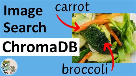 Getting Started With Chromadb Image Search Multimodal Embeddings