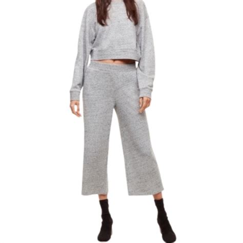 Aritzia Pants And Jumpsuits Aritzia Wilfred Free Cornelia Gray Wide