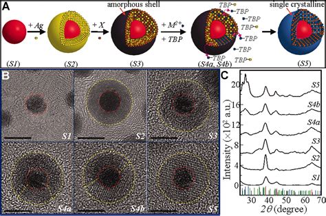 Nonepitaxial Growth Of Hybrid Core Shell Nanostructures With Large Lattice Mismatches Science