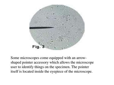 Microscope Basics Ppt Download
