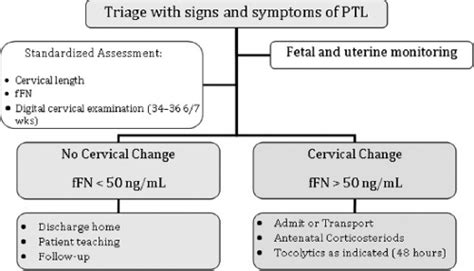 Preterm Labor And Preterm Premature Rupture Of Membranes Nurse Key