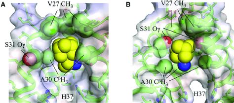 Comparing The Solution And Crystal Structures Of Drug Binding