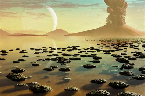 One Common Ancestor The Evolution Of Life Archynewsy