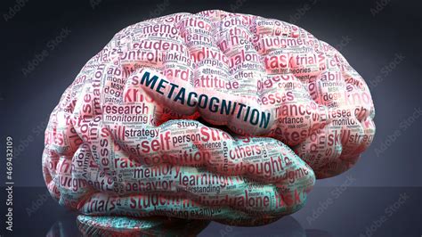 Metacognition In Human Brain Hundreds Of Crucial Terms Related To Metacognition Projected Onto