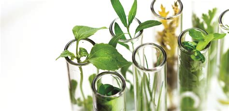 Пізнаємо природу 5 клас