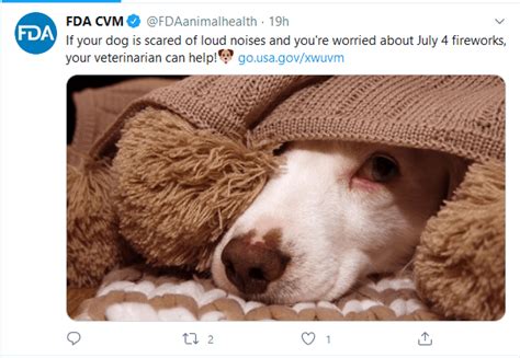 Fda Cvm Drug Promotion Truth About Pet Food