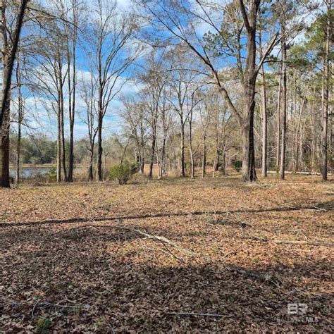 10869 Highway 31 Evergreen Al 36401 Mls 391412 Landwatch