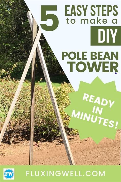 Diy Pole Bean Trellis Towers For Your Garden Pole Beans Bean Trellis Pole Bean Trellis
