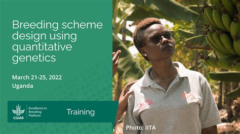 Breeding Scheme Design Using Quantitative Genetics Excellenceinbreeding
