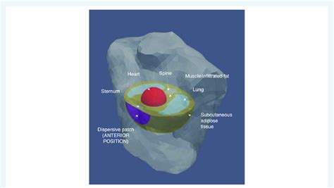 Elements Of The Computational Model And Their Relationship With The