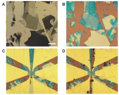 Quantum Anomalous Hall Effect In Intrinsic Magnetic Topological