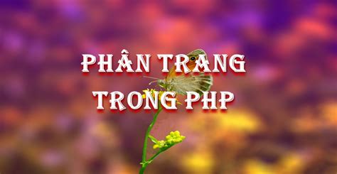 phân trang trong php thầy long web