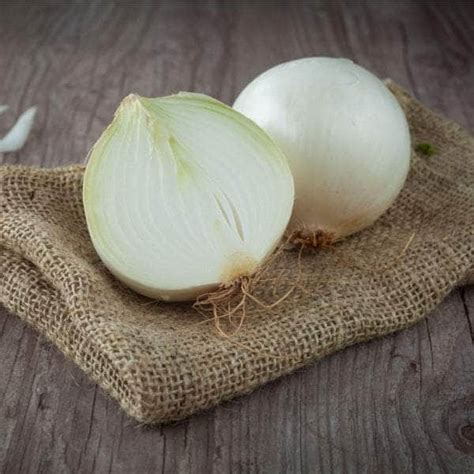 Vegetable Plug Plants 24 Pack Acquagarden Uk