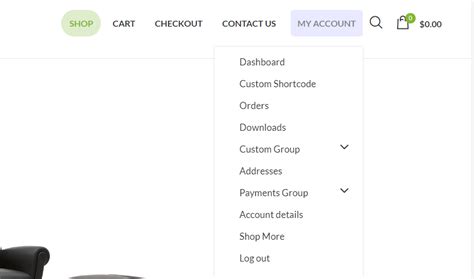 Enable My Account Navigation Menu Widget In Any Theme Sysbasics