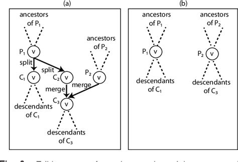 figure 8 from the move split merge metric for time series semantic