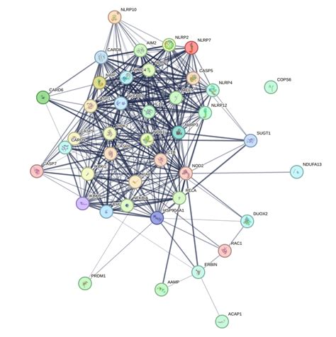 Pathcards Nucleotide Binding Oligomerization Domain Nod Pathway Pathway And Related Pathways