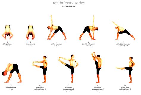 Types Of Yoga With Names