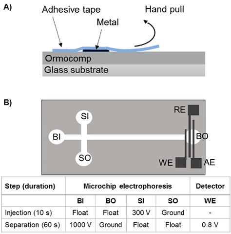 Schematic Views Of A The Scotch Tape Based Adhesion Test Adopted From Download Scientific