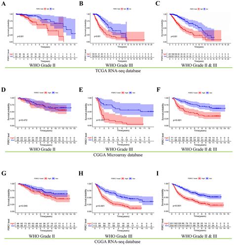 the kaplan meier survival analysis based on tcga rna seq database