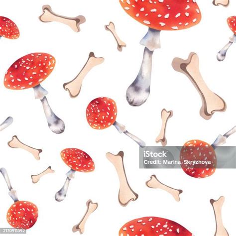 수채화 완벽 한 배경 와 Fly Agarics 와 구덩이 와 백색 배경 와 버섯과 해골의 손으로 그린 패턴 직물 장식을 위한 질감 할로윈을 위한 포장지 0명에 대한 스톡