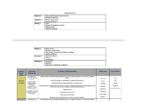 Year Week Scheme Of Work For AQA GCSE PE Theory Teaching Resources