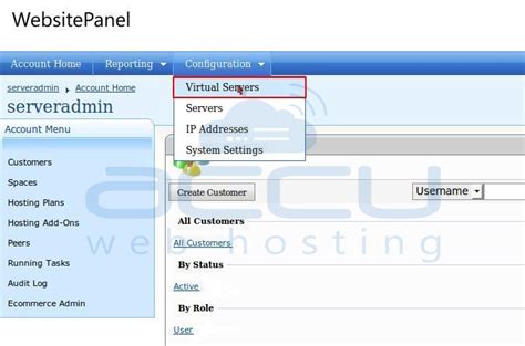 How To Create An Instant Alias From Websitepanel Accuwebhosting