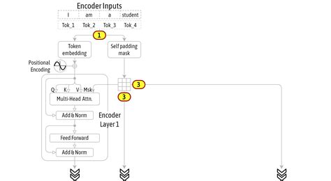Build Transformer Model Deep Learning Bible Natural Language Processing Eng