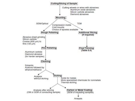 Specimen Preparation For Microscopic Observation
