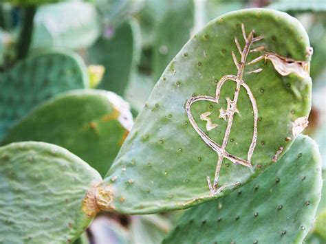 Dry Sex Isnt Always Dry Humping 9 FAQs Safety Concerns And More